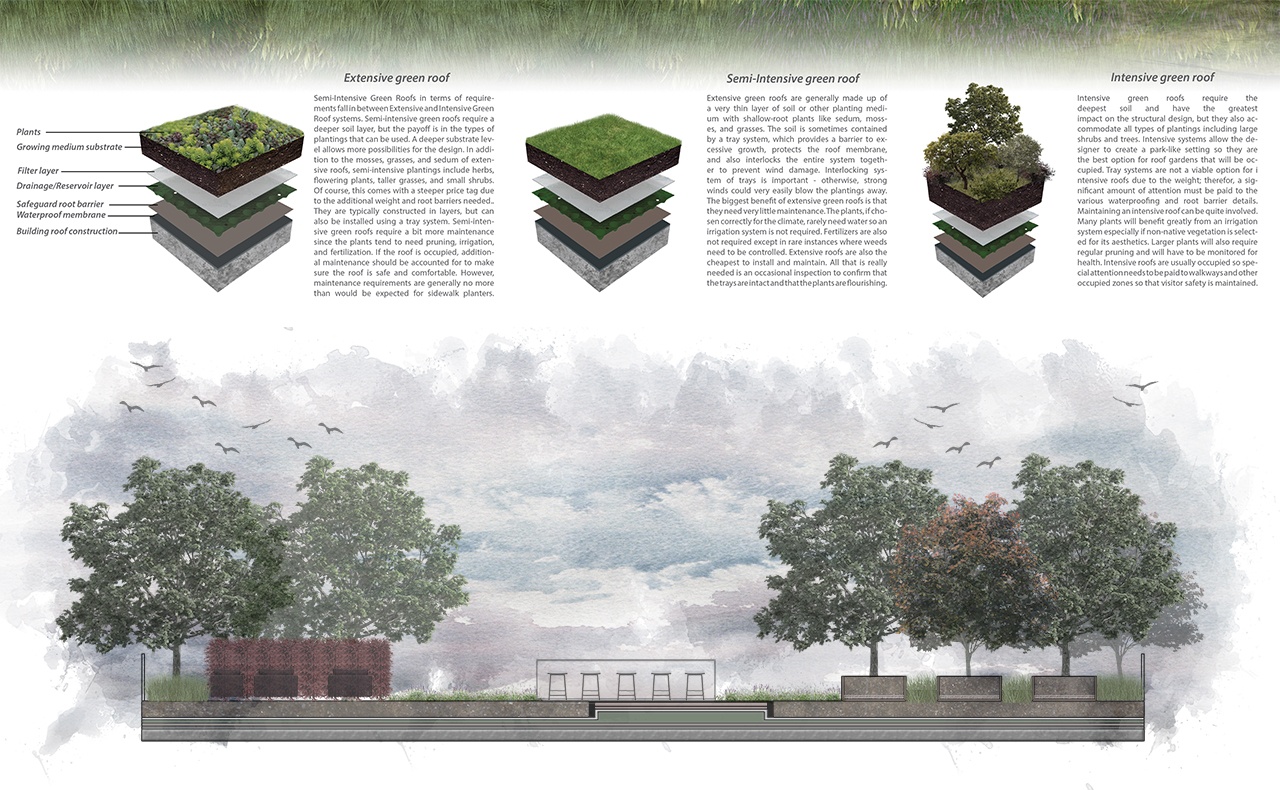 Green Roof Design | Green Culture Studio Landscape Design